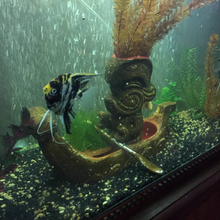 La Mariana Sailing Club Tiki Bar in Honolulu Oahu HI