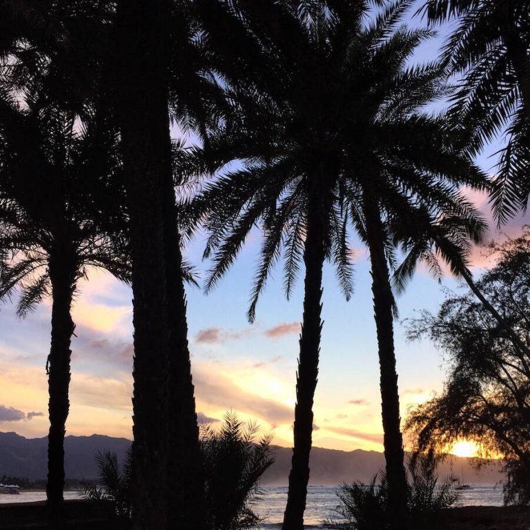 Puaena Point Beach Park, Haleiwa North Shore Oahu