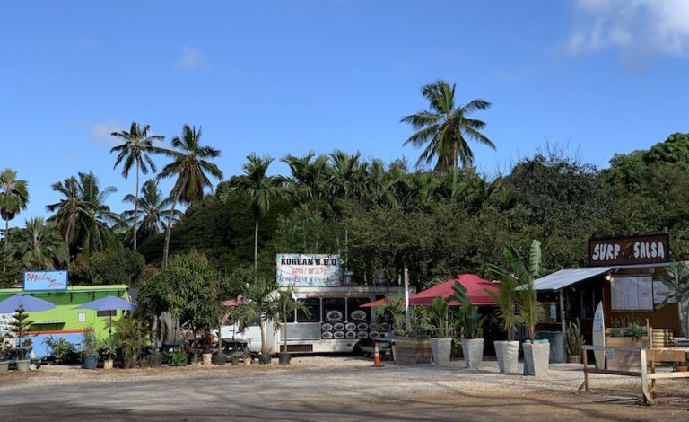 Fun Things to Do in Haleiwa | Top 8 Experiences