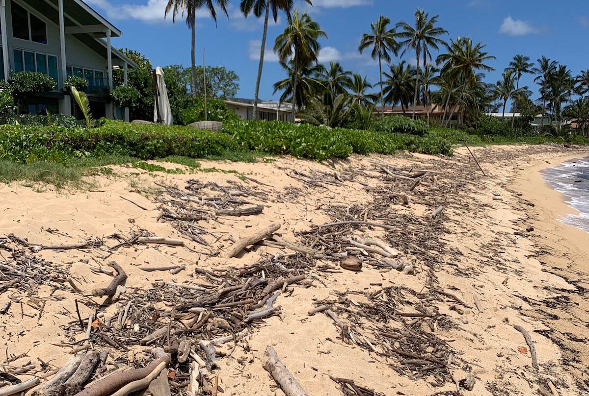 Best Beachcombing Oahu | Top 5 Spots