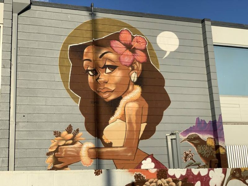 Kakaako Murals | Kaka'ako Art Walk and Self Guided Tour